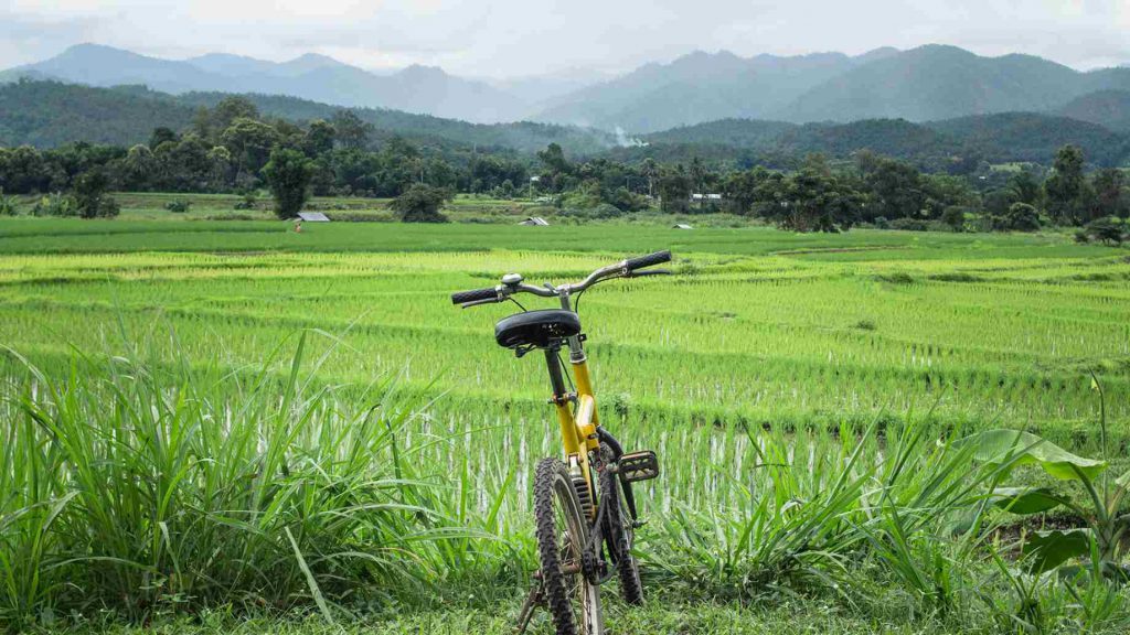 Cycling through Hoi An countryside | Vietnam's Best Travel Experiences