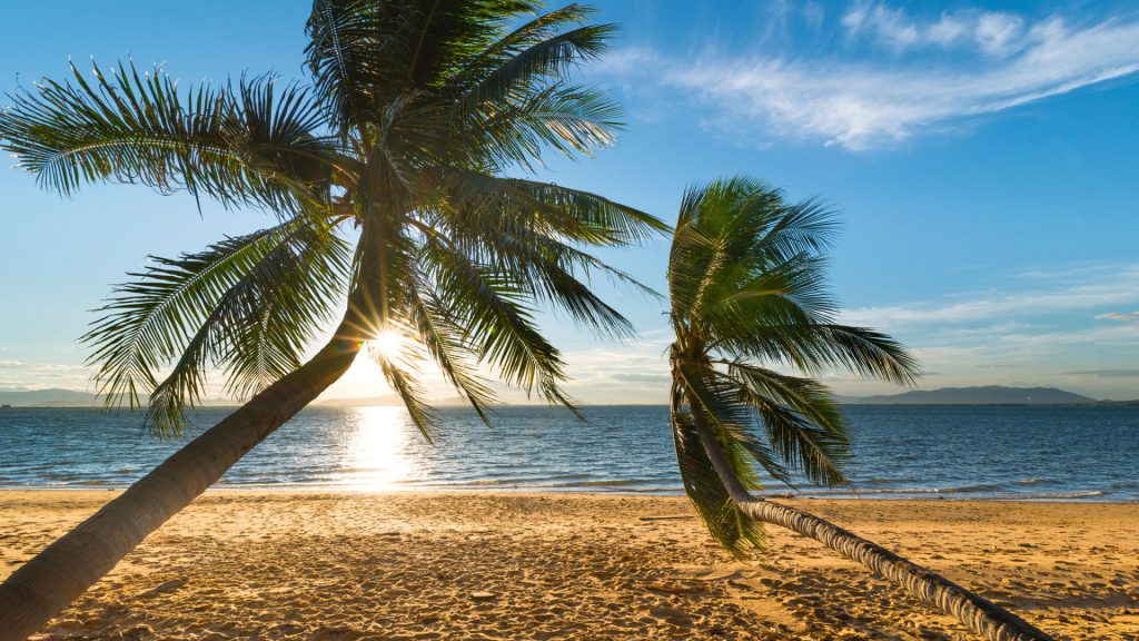 Quy Nhon Ky Co Beach | Vietnam's Best Travel Experiences